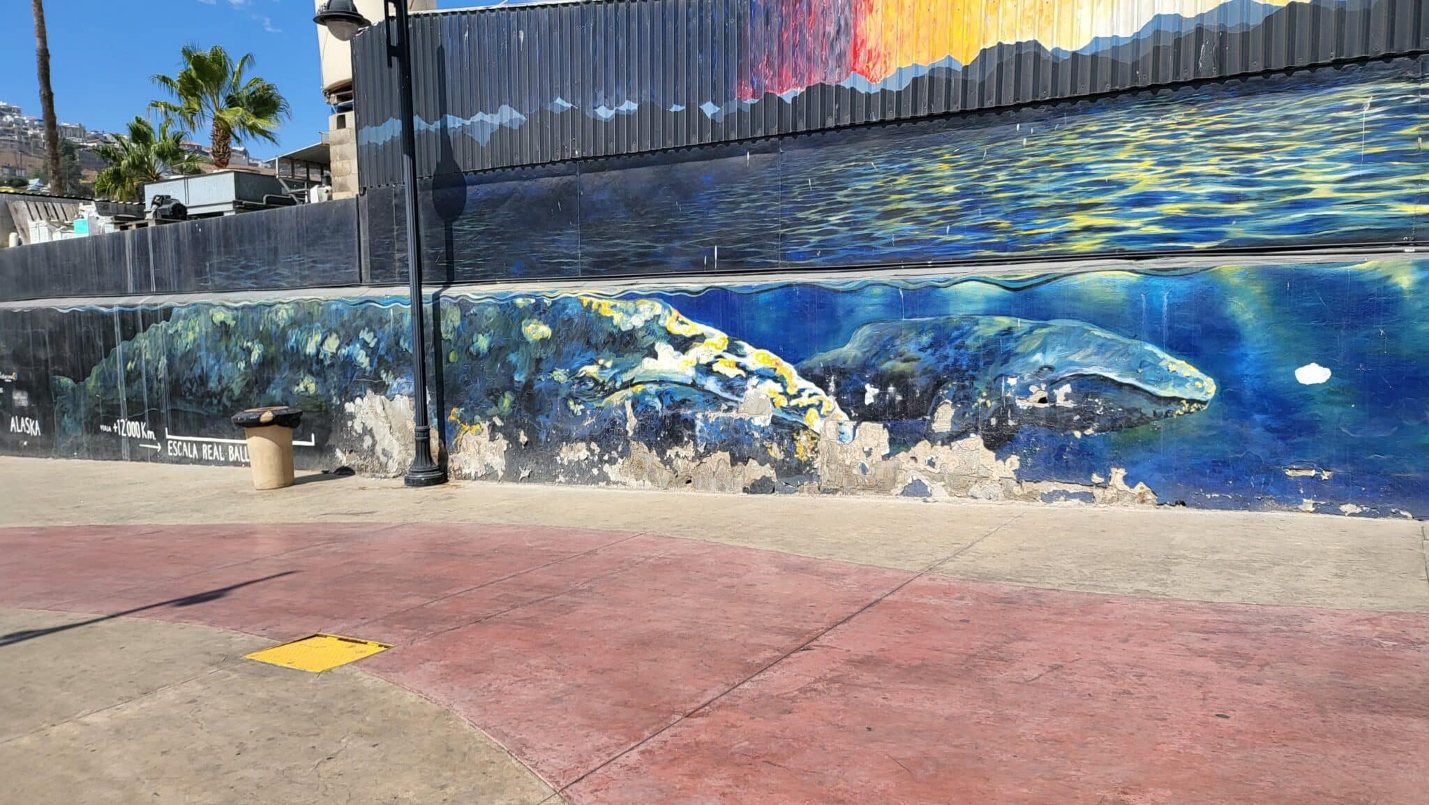 Comprehensive Guide to Living in Ensenada, Mexico (From a Gringo's ...