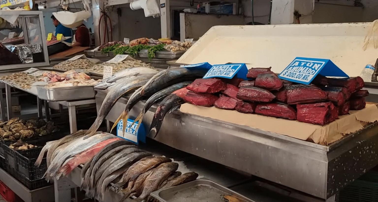 Comprehensive Guide to Living in Ensenada, Mexico (From a Gringo's ...