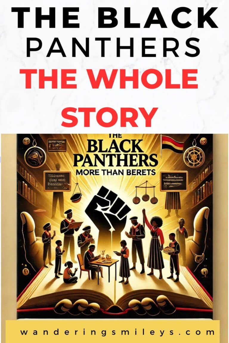 The Black Panthers: Stories, Struggles, and Straight Talk - The ...